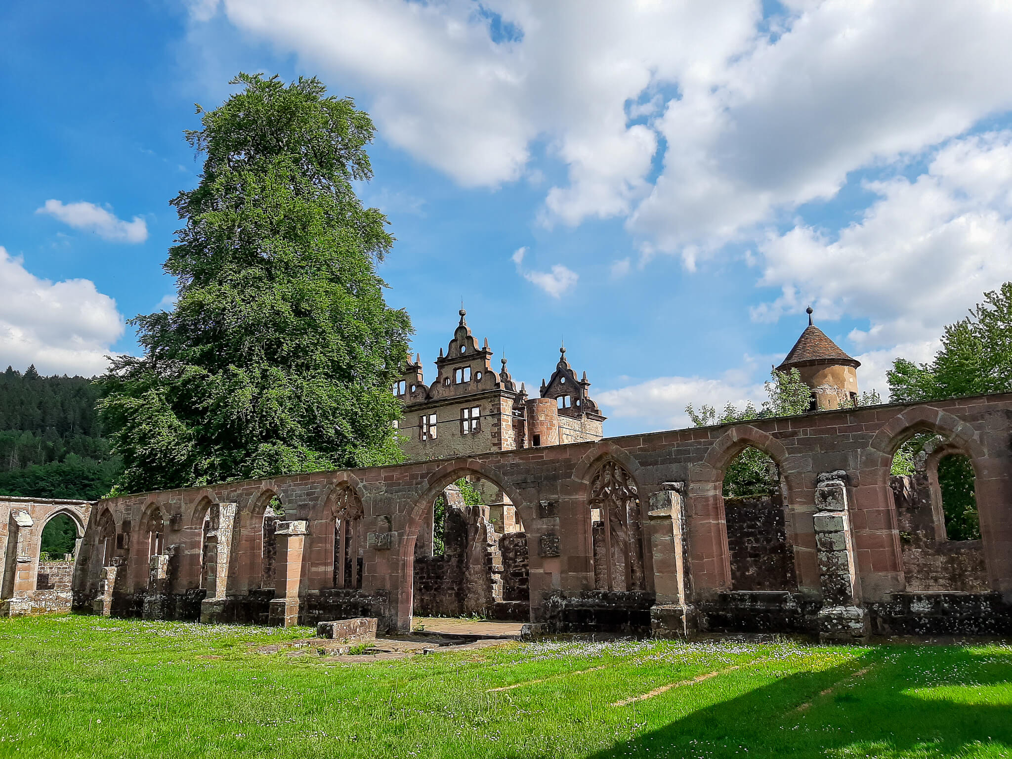 Die Klosterruine Hirsau im Nordschwarzwald – ninasfachwerkliebe