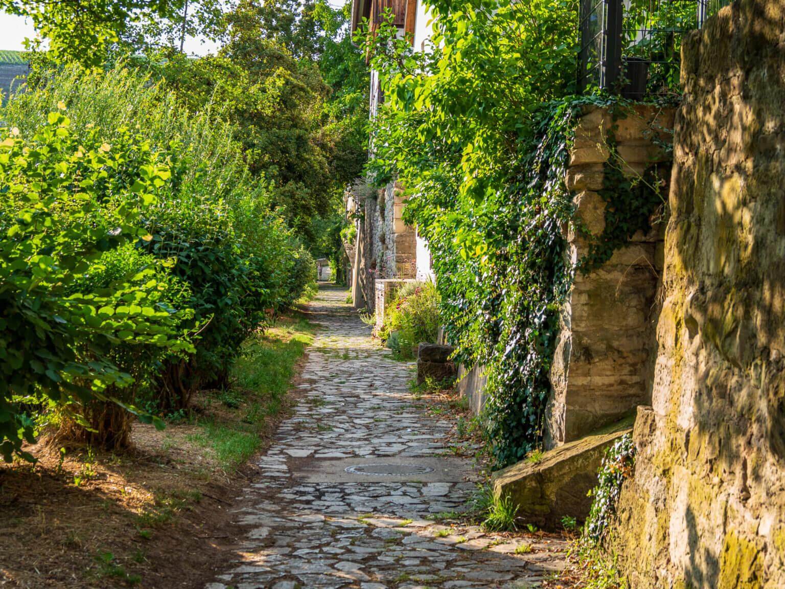 Besigheim – Sehenswürdigkeiten & Tipps für den schönsten Weinort ...